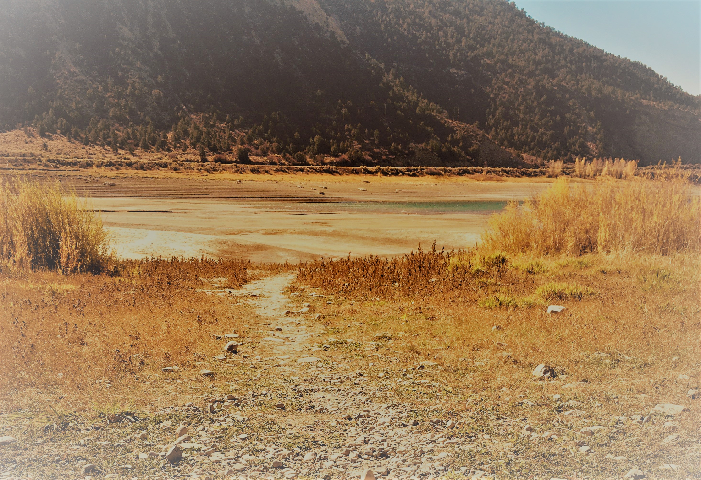 desolate lake – House of Dreams